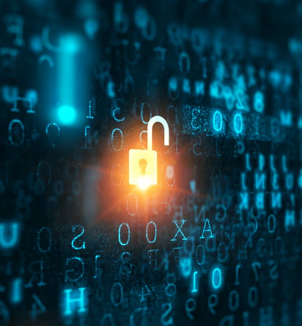 Managed Firewall Services | VectorUSA